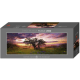 Heye Alexander von Humboldt Oak Tree 2000p panorama puzzle | Kärkkäinen ...