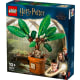 LEGO Harry Potter 76433 Alruuna | Karkkainen.com verkkokauppa