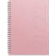 Burde Study A5 Ottawa pink 2021-2022 academic year calendar ...