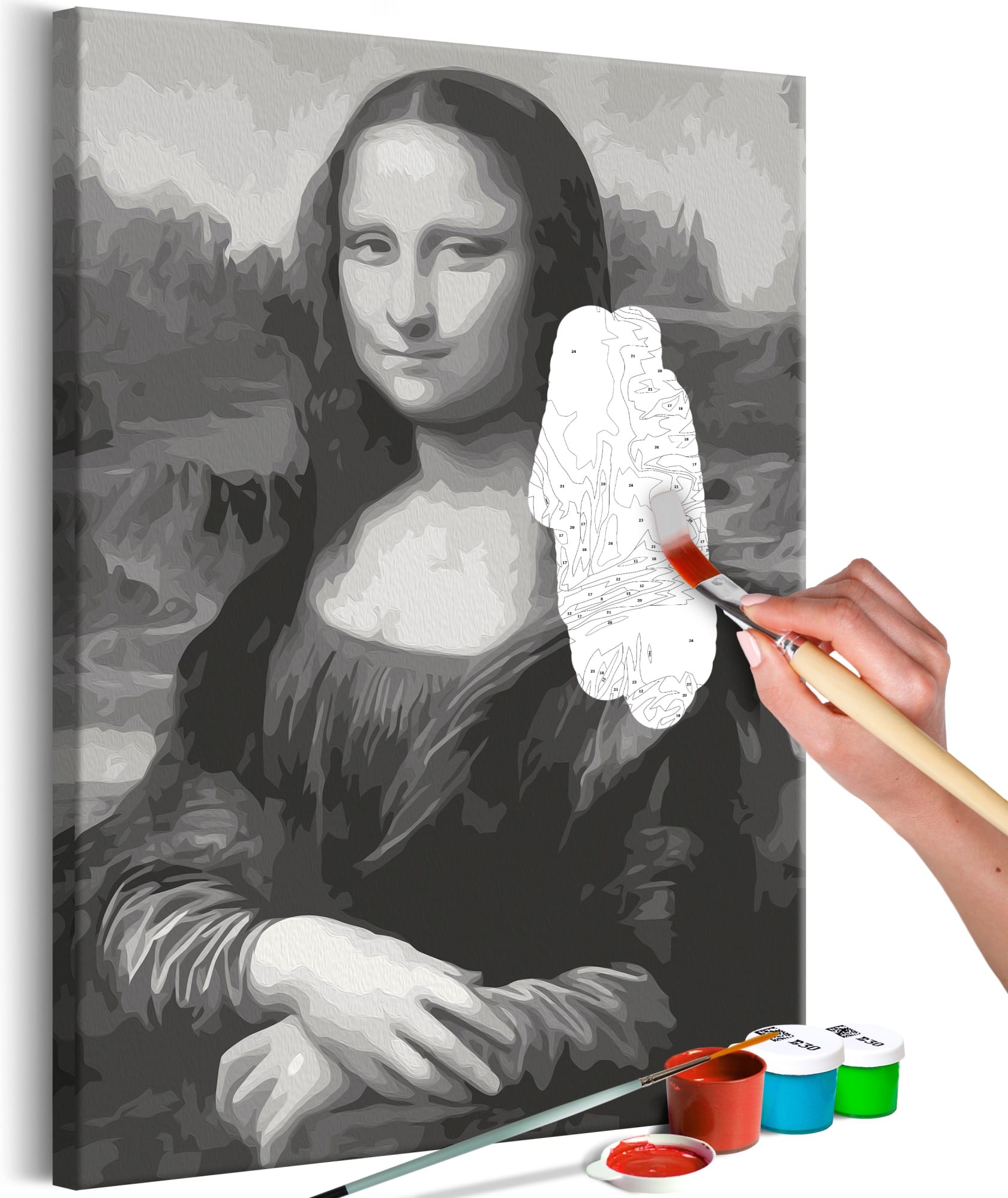 Artgeist Black and White Mona Lisa DIY kangas maalaus | Karkkainen.com ...
